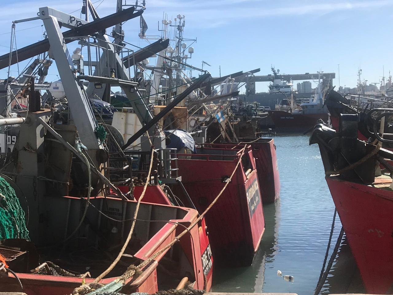 SOMU paraliza flota fresquera tras vencer Conciliación Obligatoria ...