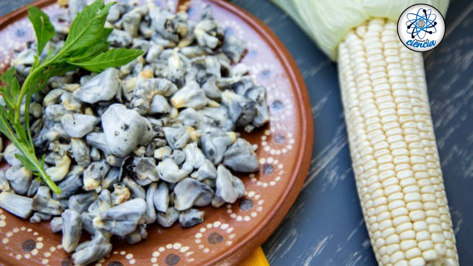 Descubriendo el Hongo Milagroso: Beneficios y Delicias del Huitlacoche ...