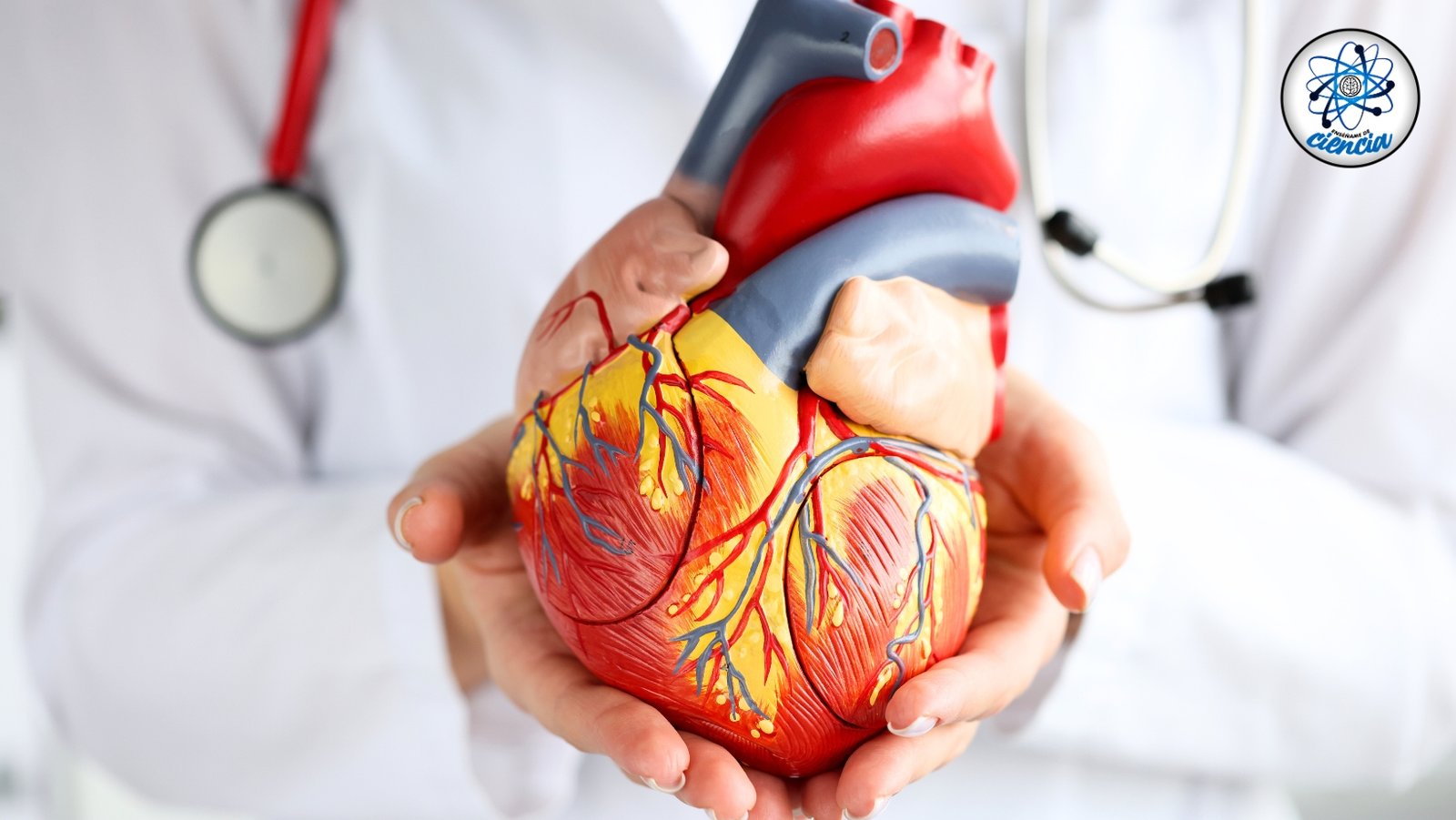 El Secreto Del Cardiólogo Para Un Corazón Saludable Movimiento Y Dieta